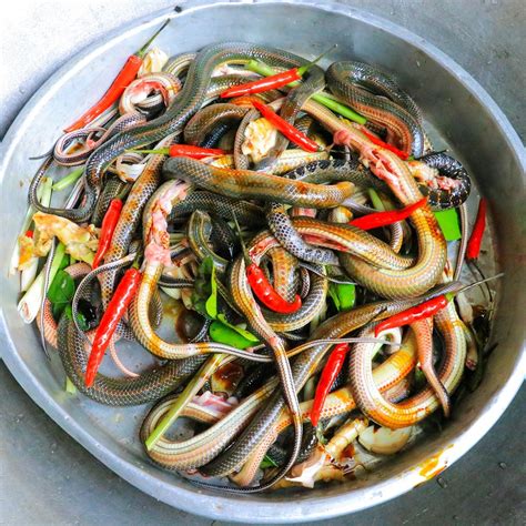 Image result for Cooking Snake