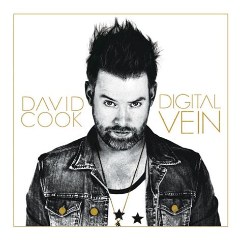 Image result for David Cook Playlist