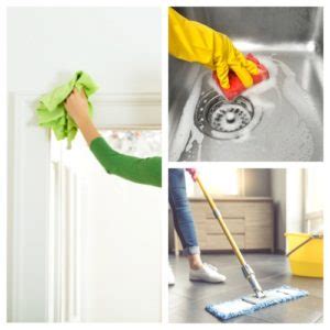 Image result for FlyLady System