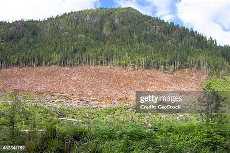 Image result for Selective Logging