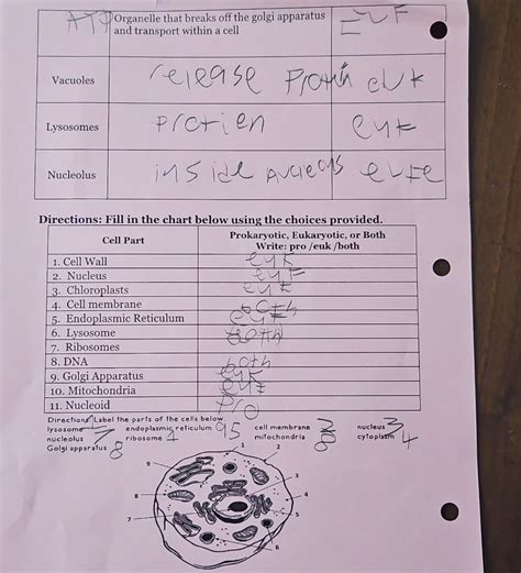 Image result for Search for Truth 2 Lesson 2 Study Sheet