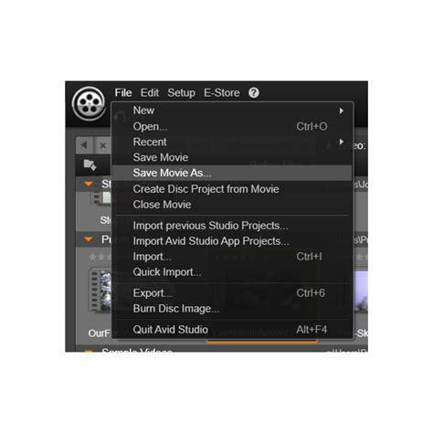 Image result for Pinnacle Studio Review