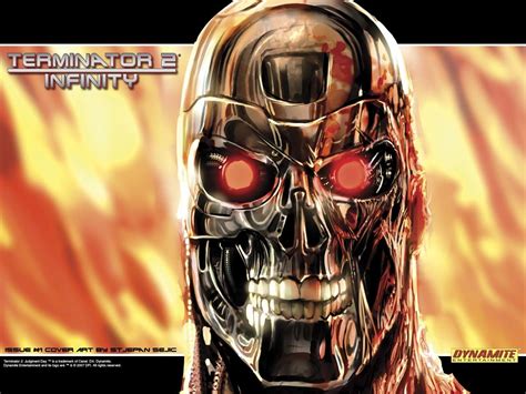 Image result for Terminator Pics