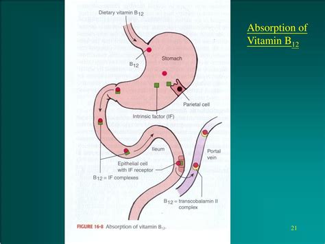 Image result for Disorders of Red Cells Made Simple