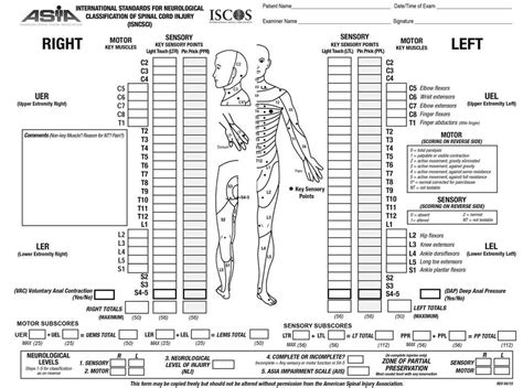 Image result for Adult Function Test PDF