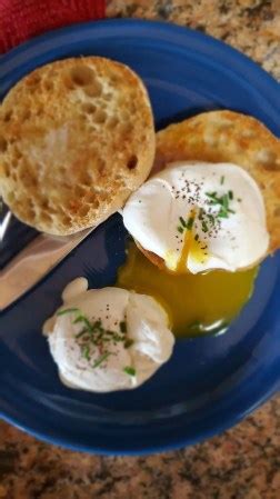 Image result for Poaching Method