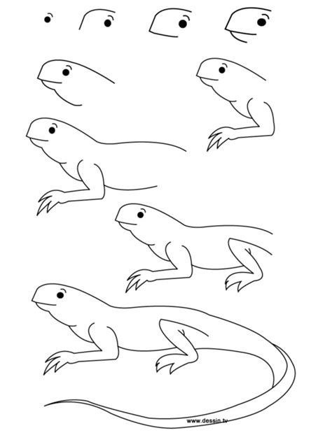 Image result for How to Draw Animals Easy Step by Step