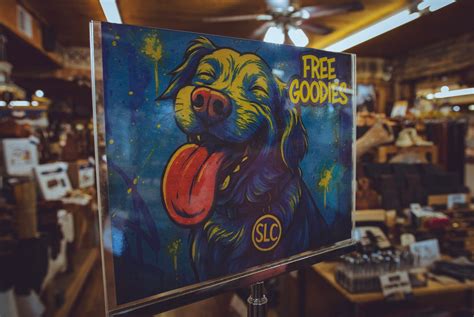 Image result for Springfield Leather Company Pattern Books