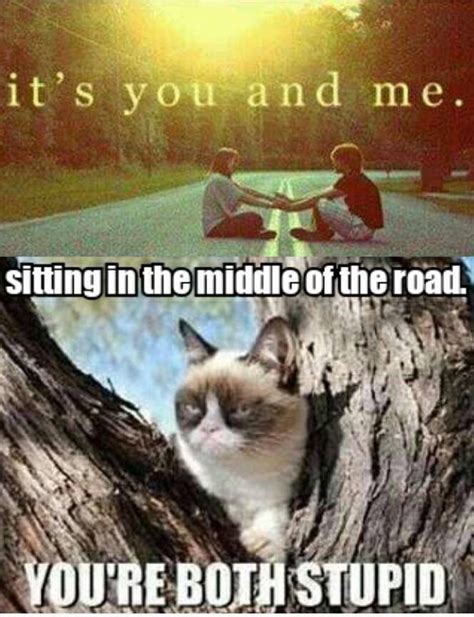 Image result for Grumpy Cat Humor