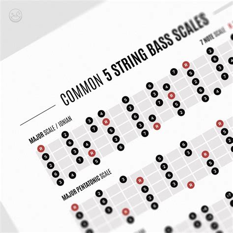 Image result for Notes On a 5 String Bass