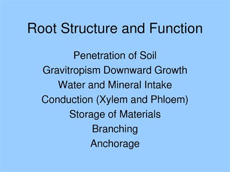 Image result for Root Structure and Function