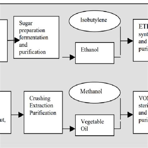 Image result for Biofuel Production Process