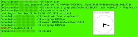 Image result for How to Enable X11 Forwarding Linux
