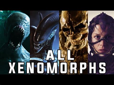 Image result for Alien Xenomorph Types