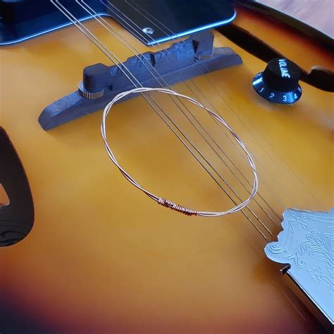 Image result for Mandolin String Types