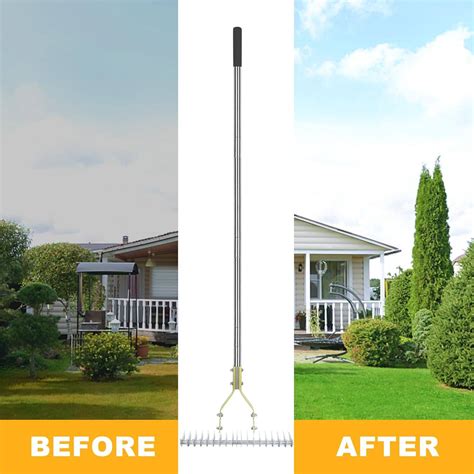 Image result for Dethatching Rake