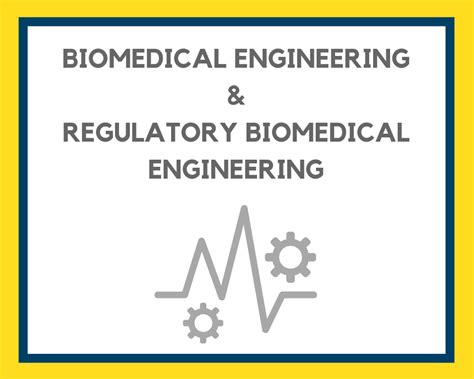 Biomedical Engineering Career Guide – SEASCareers | SEAS Office of ...