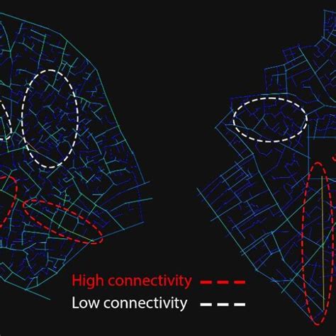 Image result for Morphological Convergence Examples
