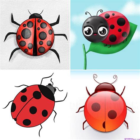 Image result for Ladybug Simple Drawing