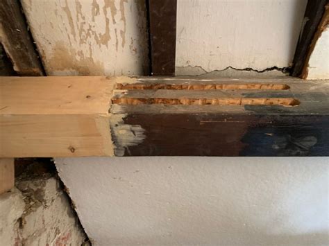 Image result for Splice Timber Repairs