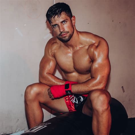 Image result for Boxer Model Mengine