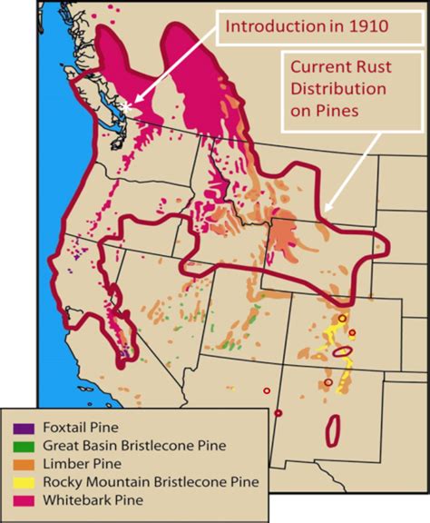 Image result for Pear Rust Distribution Map