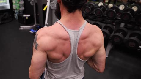 Image result for Athlean X Back Exercises