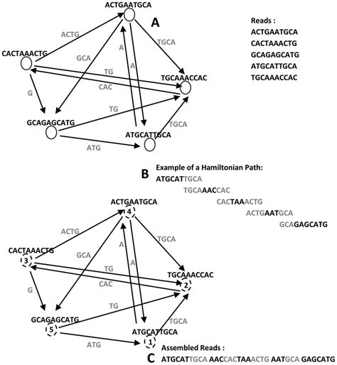 Image result for Overlap Graph PNG