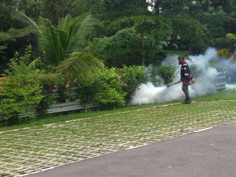 Image result for Pest Control Fumigation