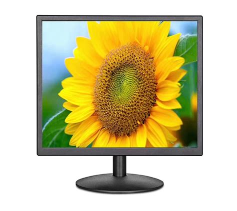 Image result for Computer Display