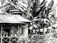 Image result for How to Draw a Tree in Hatching