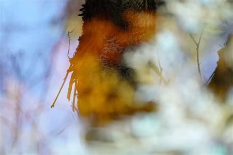 Image result for Why Is Creativity Important