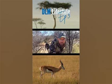 Image result for How to Cook Impala Meat