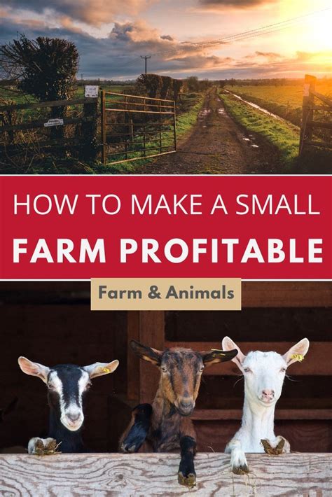 Image result for Very Small Farm Setup
