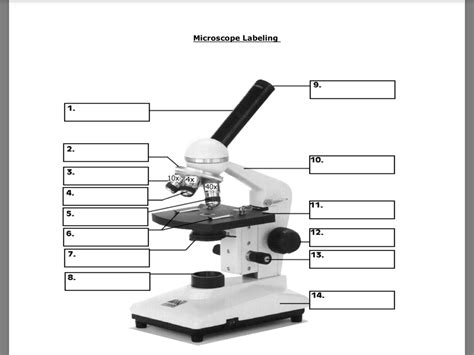 Image result for Microscope Label Diagram