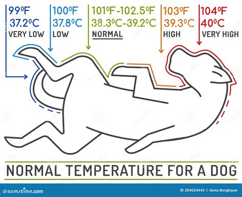 Image result for Dog Temperature Normal