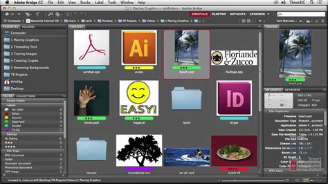 Image result for InDesign Image Modifier