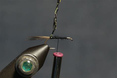 Image result for Caddies Emerger Fly Pattern