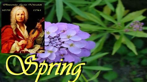 Image result for Vivaldi Spring Canon