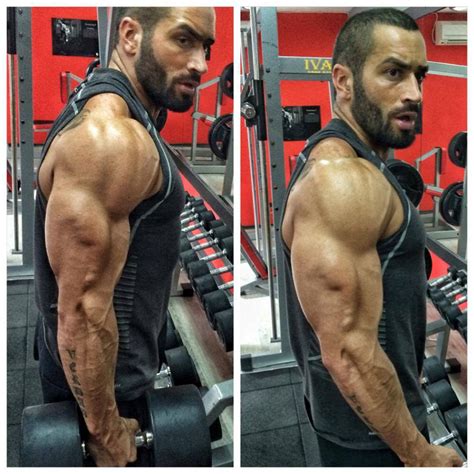 Image result for AVG Back Shape