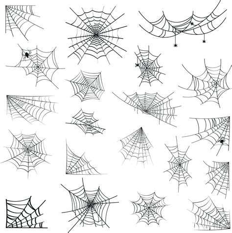 Image result for Spider Web Vector