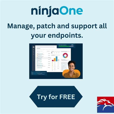 Image result for Ninjaone PowerShell