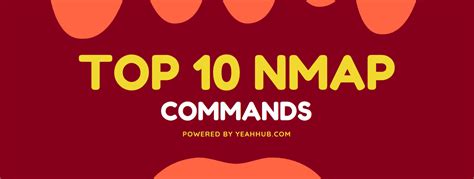 Image result for Nmap Commands Examples