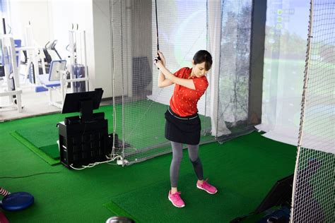 Image result for Golf Simulator Ceiling