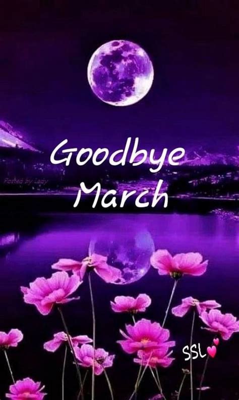 Image result for Spring Vivaldi Meme