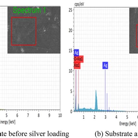 SEM–EDS spectra of the samples | Download Scientific Diagram