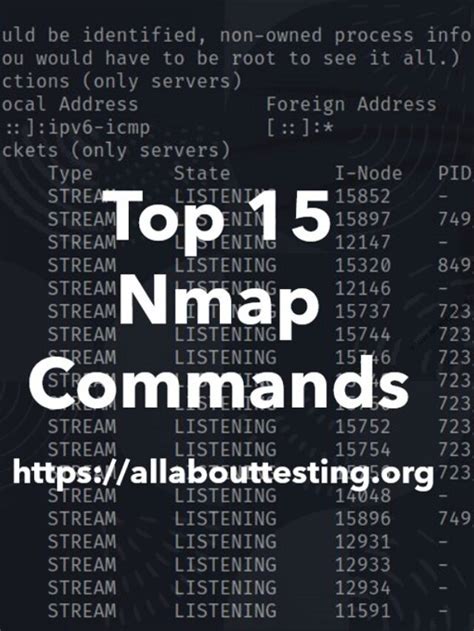 Image result for Nmap Commands Examples