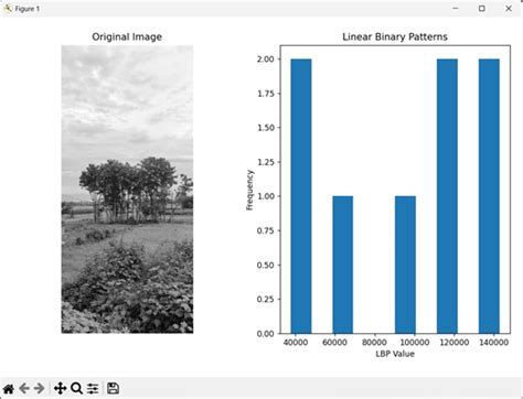 Image result for Binary Linear Programming