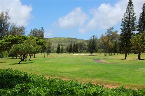 Image result for Turtle Bay Golf Course