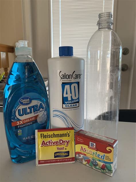 Image result for How to Make Elephant Toothpaste Experiment